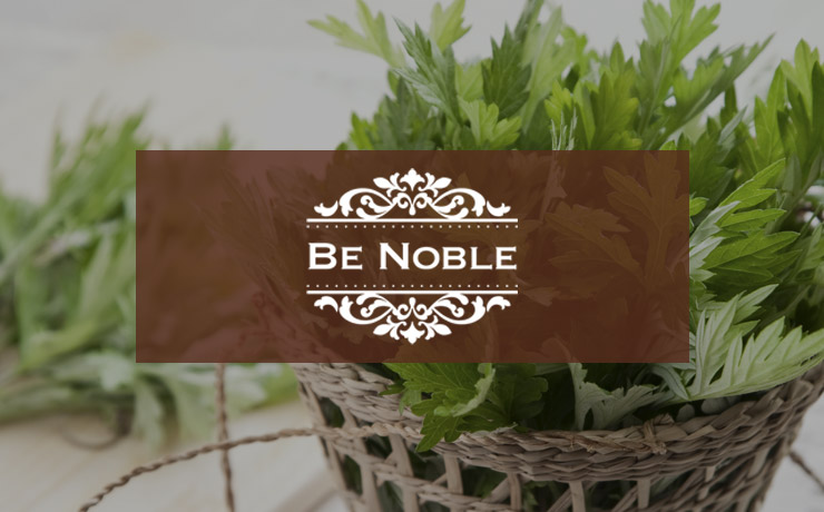 ブログ（コンテンツ） - 若よもぎ蒸しサロン BE NOBLE | BE NOBLE